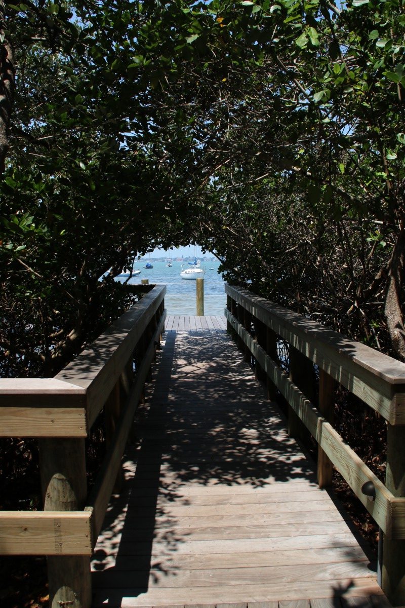 Botanische Gärten - meine Highlights • Preissnbeere